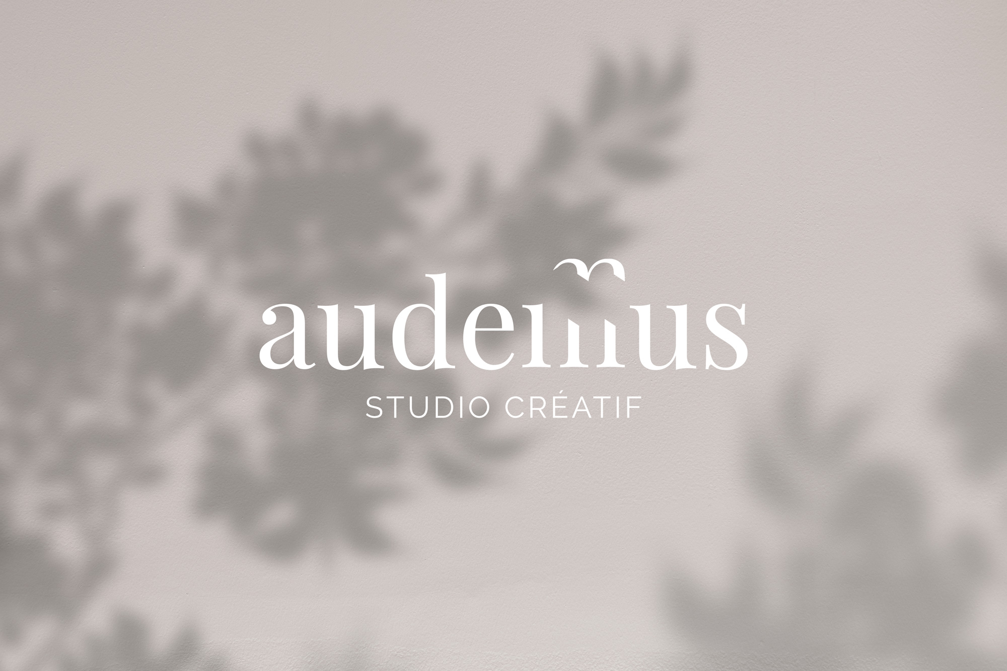 Audemus Studio | Graphiste & Webdesigner à Angers